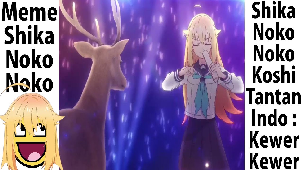 Trend Meme Shikanoko Nokonoko Koshitantan Itu Apa - YouTube