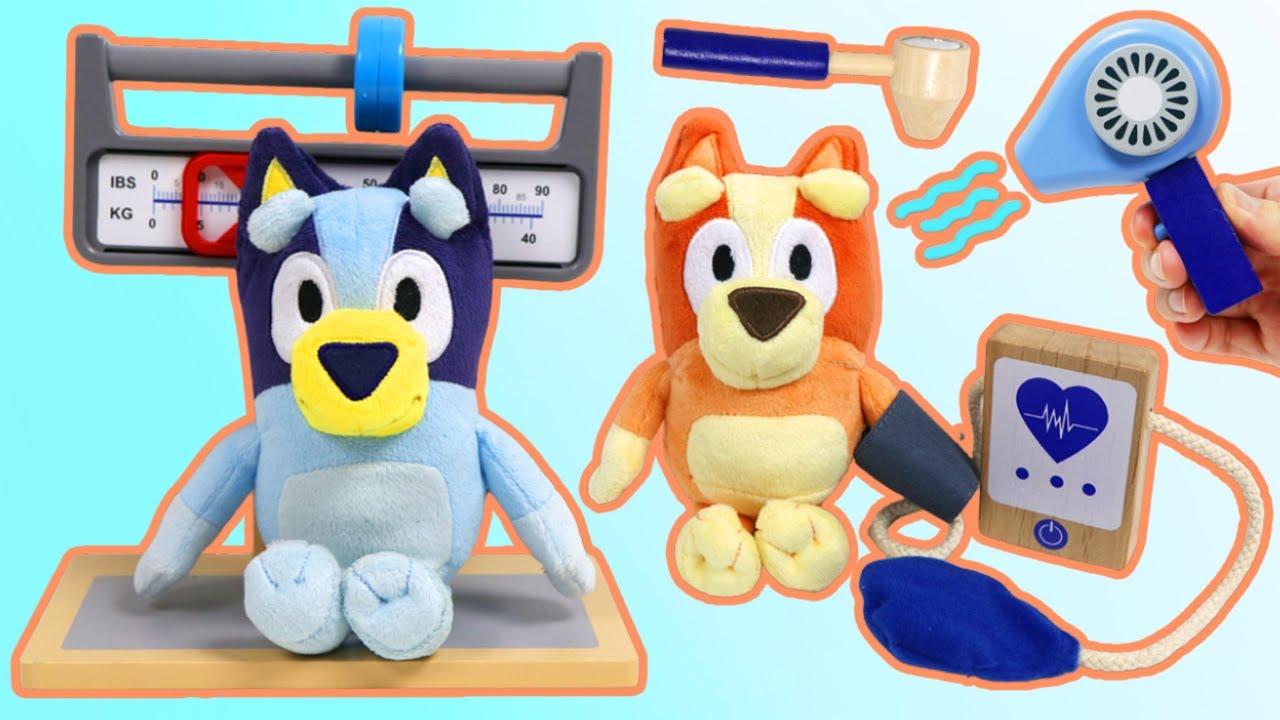 Bluey and Bingo Learn About Doctor Tools! - YouTube
