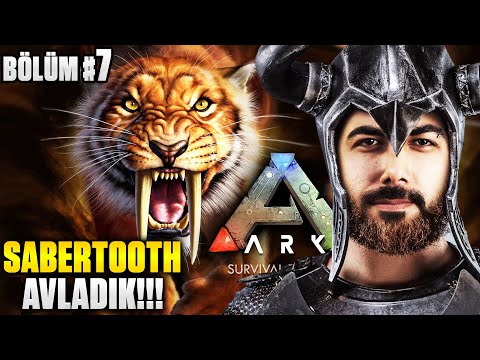 SABERTOOTH AVLADIK!! (Bölüm #7) | EKİPLE ARK SURVIVAL EVOLVED | Barış Can