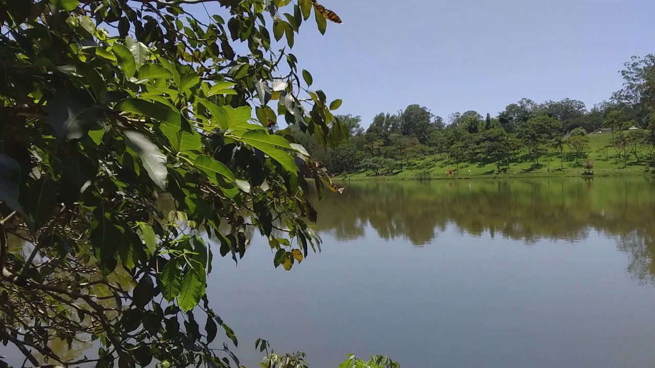 Parque do carmo - YouTube