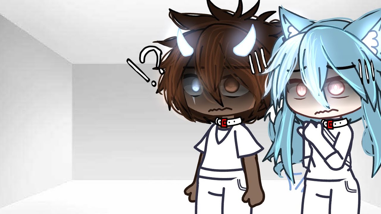 •Parents•TMF Partners AU•Zander• - YouTube