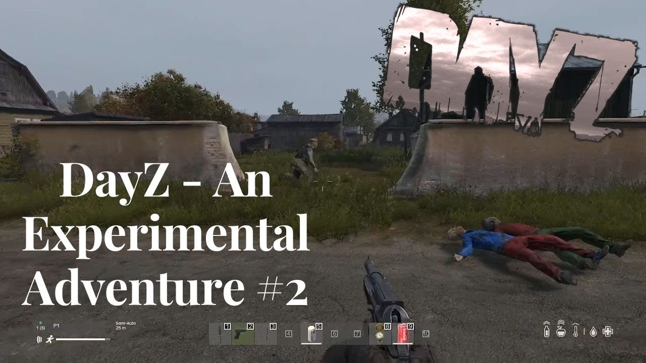 DayZ - Two 100 Hours Players In An Experimental Adventure #2 - YouTube
