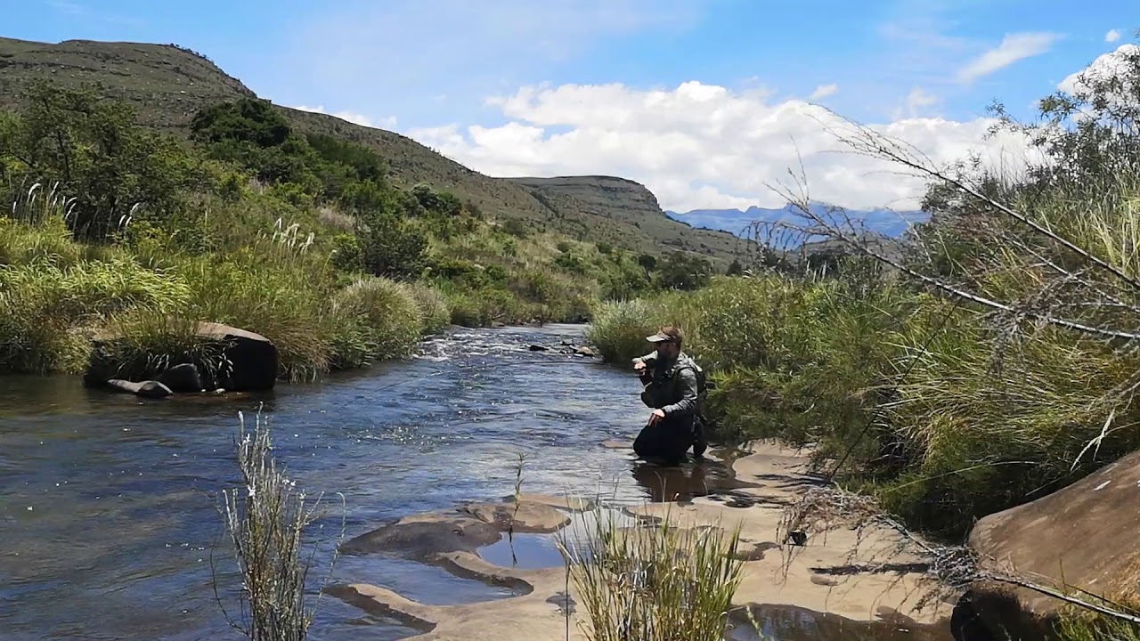 Trout fly fishing in South Africa with Daniel Factor - YouTube