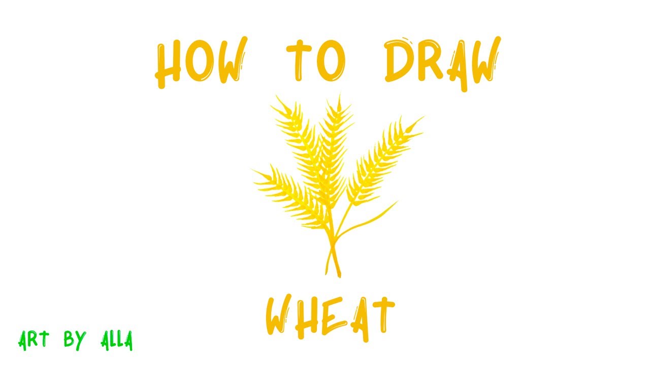 How to draw wheat - YouTube