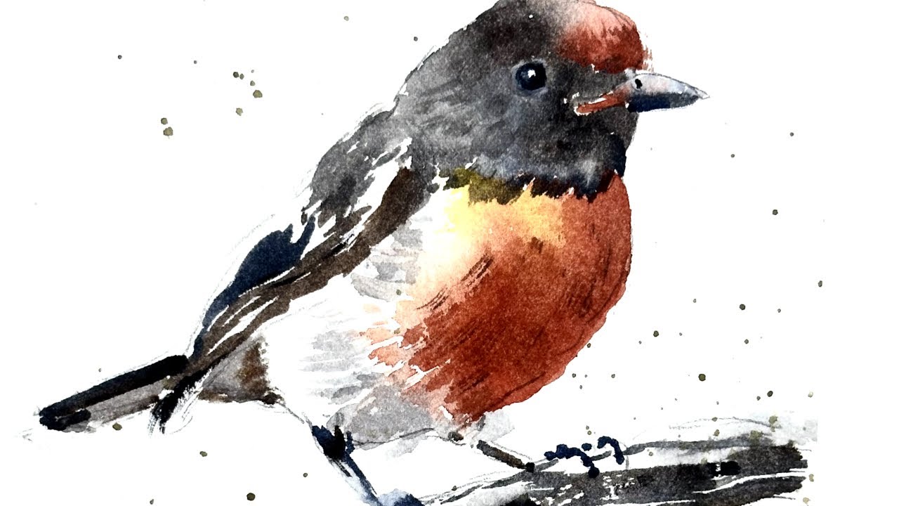 LEARN TO PAINT a Red Robin in Watercolour + FREE Sketch Template - YouTube