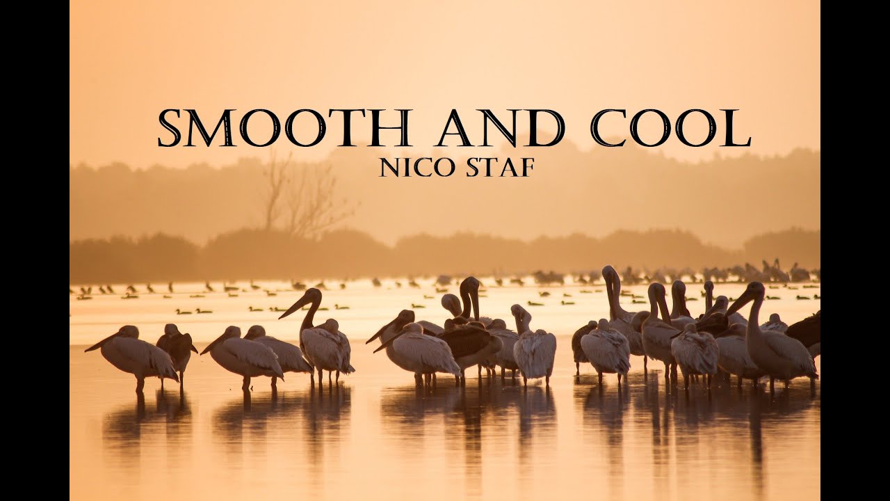 Smooth and cool - Nico Staf - YouTube