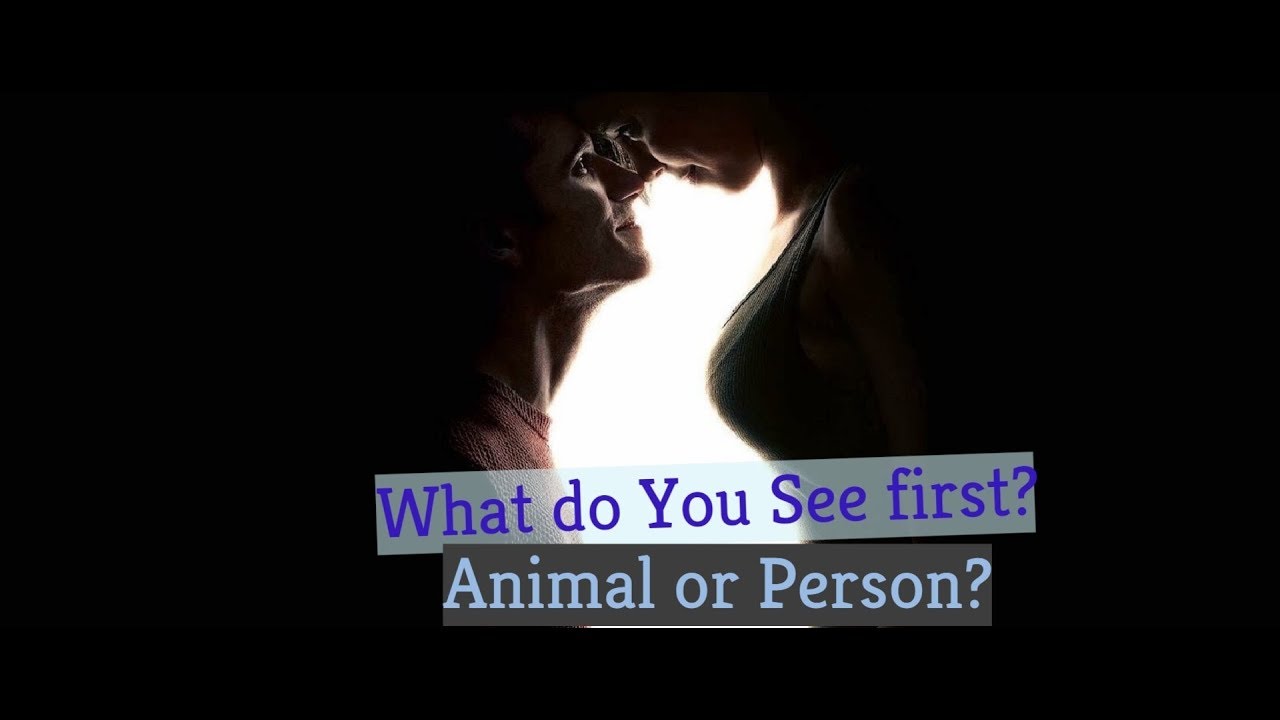 What do You see? Animals or People Optical Illusion - YouTube