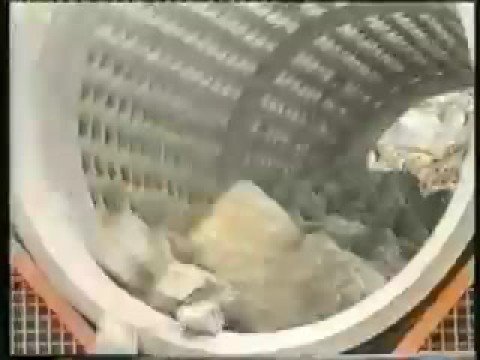 Rotary Screens - YouTube