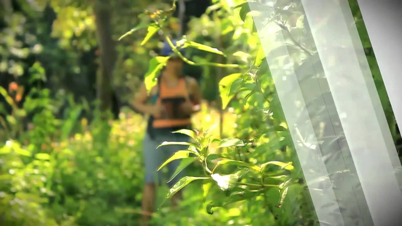 Mapawa Nature Park Teaser - YouTube