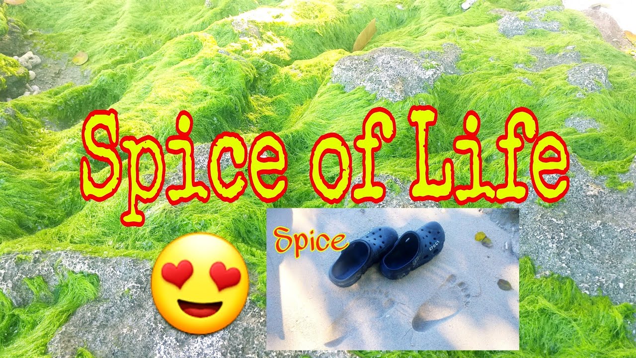 Anung merun papuntang Spice Northern Samar?🤔😍 - YouTube