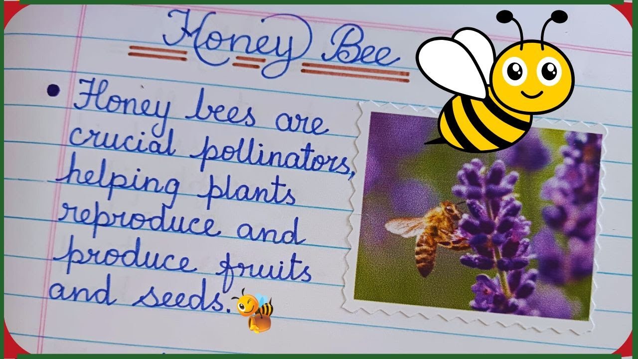 5 Lines Essay on Honey Bee | Short Essay on Honey Bee | 5 Lines About ...