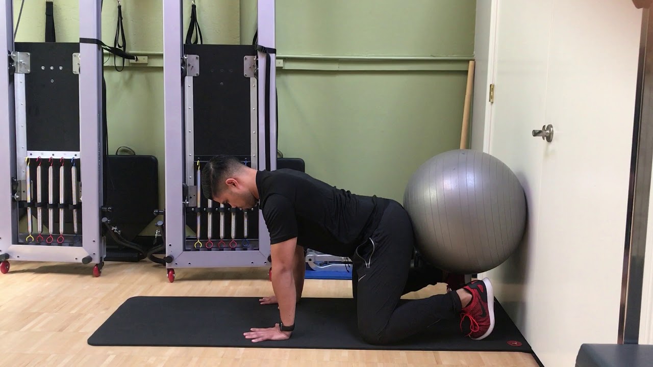 Quadruped Hip Rocking with stability ball - YouTube