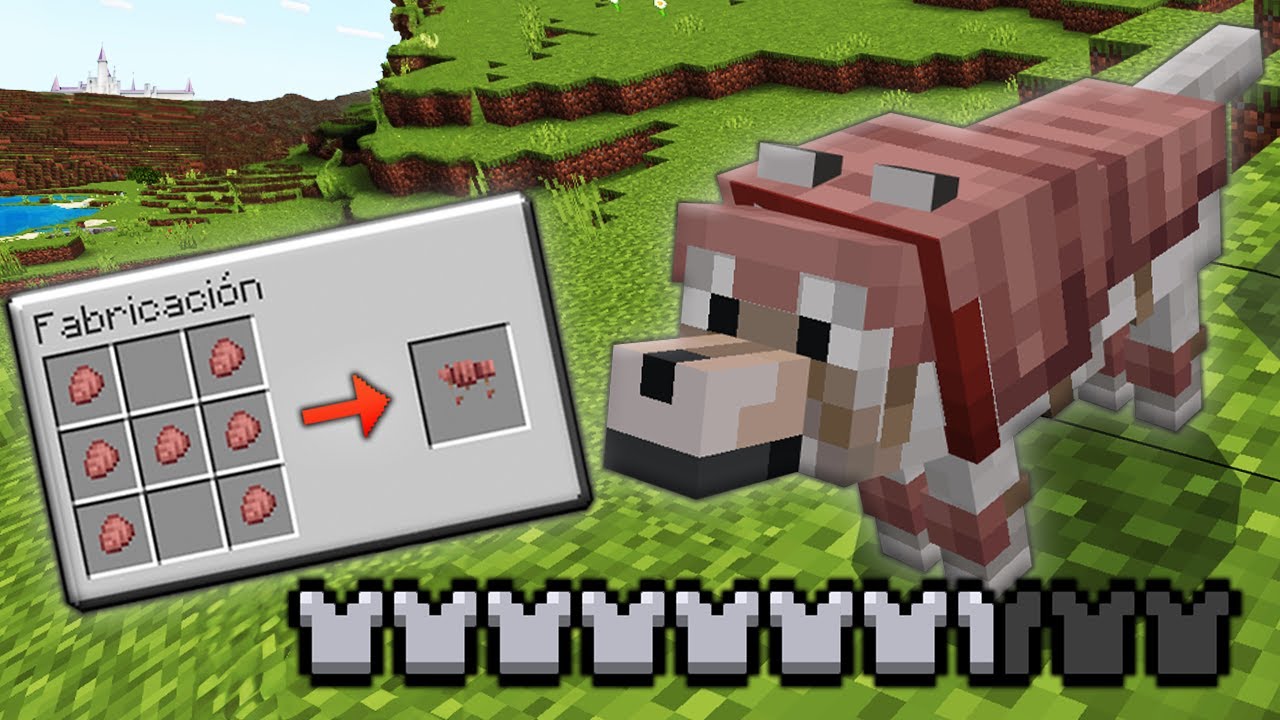 Cómo Conseguir la ARMADURA DE LOBOS en Minecraft! (Bedrock y Java ...