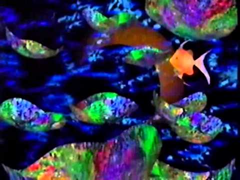 Virtual Nature: A Computer Generated Visual Odyssey - YouTube