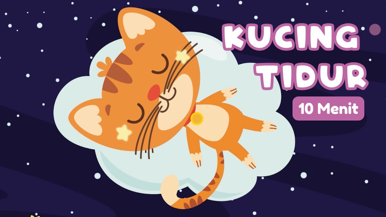🐱 Kucing Tidur Mendengkur | Lagu Anak Pengantar Tidur | Cici Didi - YouTube