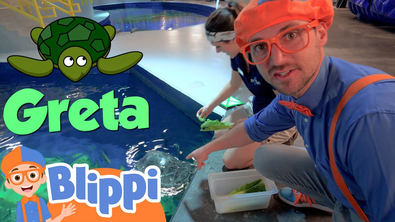 Blippi feeds a Turtle! | Blippi & the Aquarium! | Learn About Animals ...