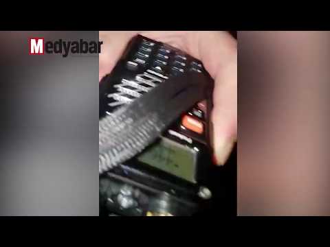 Çakallardan korkup elektrik direğine çıktı