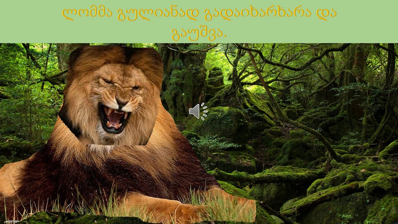 ი.გოგებაშვილის "ლომი და თაგვი" პედაგოგი: ირმა ბლიაძე - YouTube