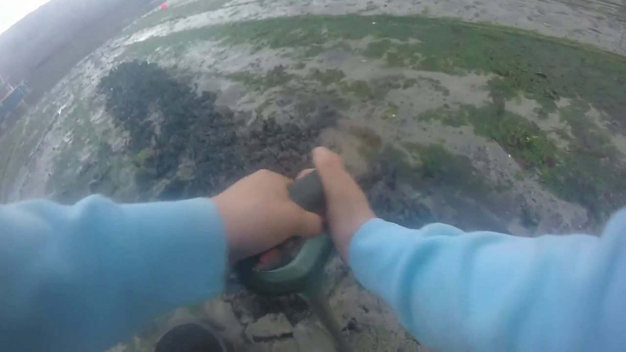 Digging Cornish Lugworm - YouTube