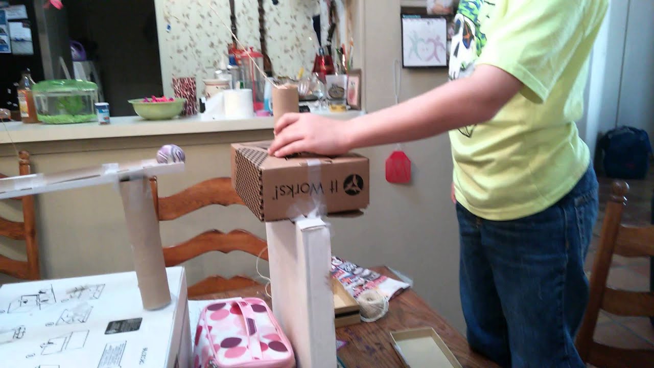 Rube Goldberg Machine for AP Biology - YouTube