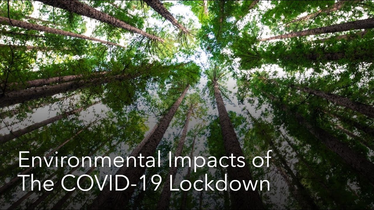 The Environmental Impacts of The COVID-19 (Coronavirus) Lockdown - YouTube