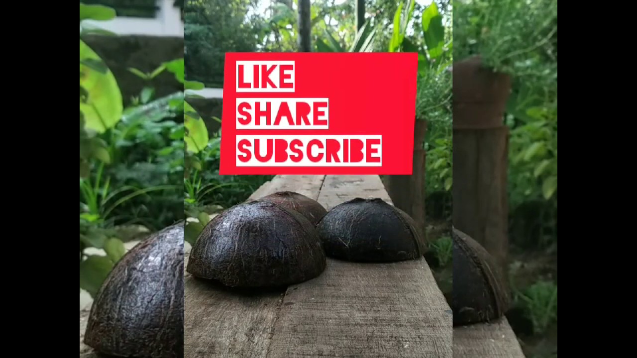 Coconut shell art part-2 simple and easy - YouTube