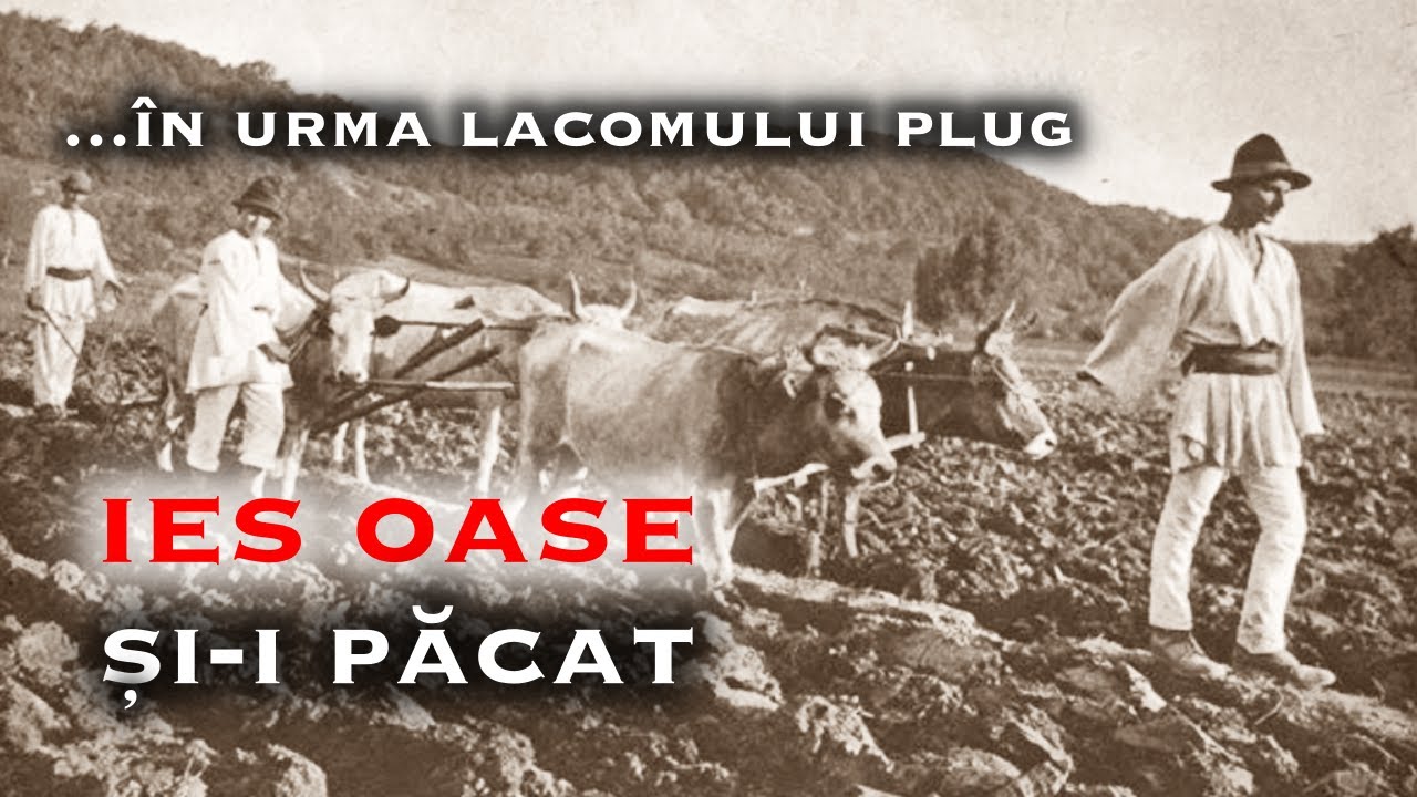 Noi vrem pamant! - George Cosbuc | Poezie audio - YouTube