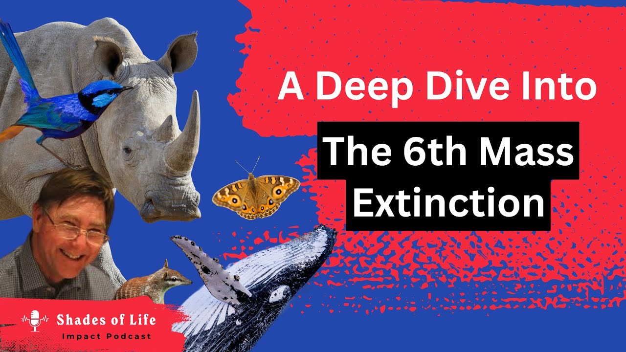 Wildlife Under Threat: A Deep Dive into the 6th Mass Extinction 🌍🦋 | Dr ...