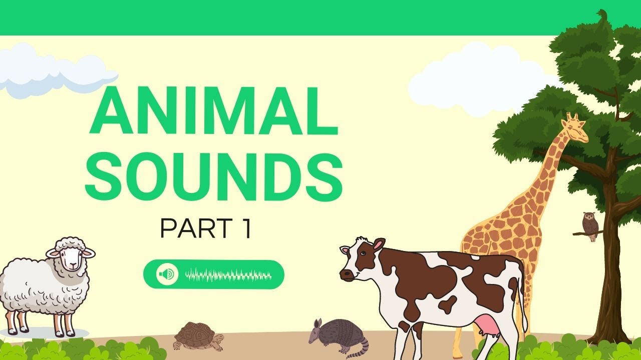 ANIMAL SOUNDS PART 1 - YouTube