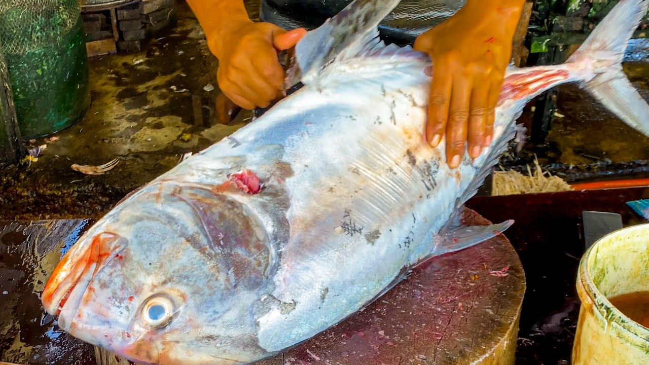 BIG TREVALLY FISH SLICING IN TRADITIONAL FISH MARKET || EXPERT FISH ...