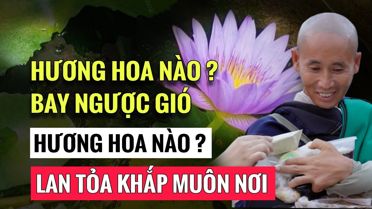 Hương Hoa Nào Bay Ngược Gió? Hương Hoa Nào Lan Tỏa Khắp Muôn Nơi? - Zen ...