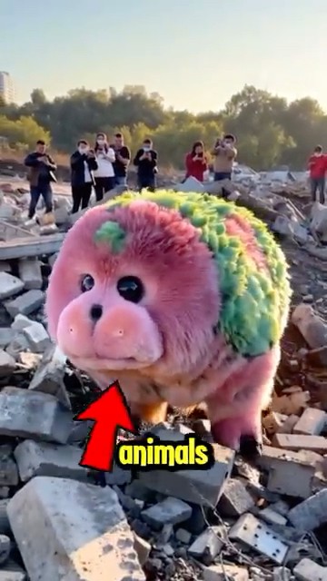 Top 5 Animals That Look Animated but Are Real 😳 - YouTube