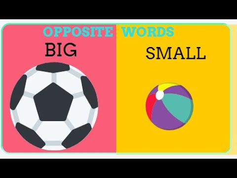 LET'S LEARN THE OPPOSITE WORDS | OPPOSITE WORDS FOR KIDS| OPPOSITE ...