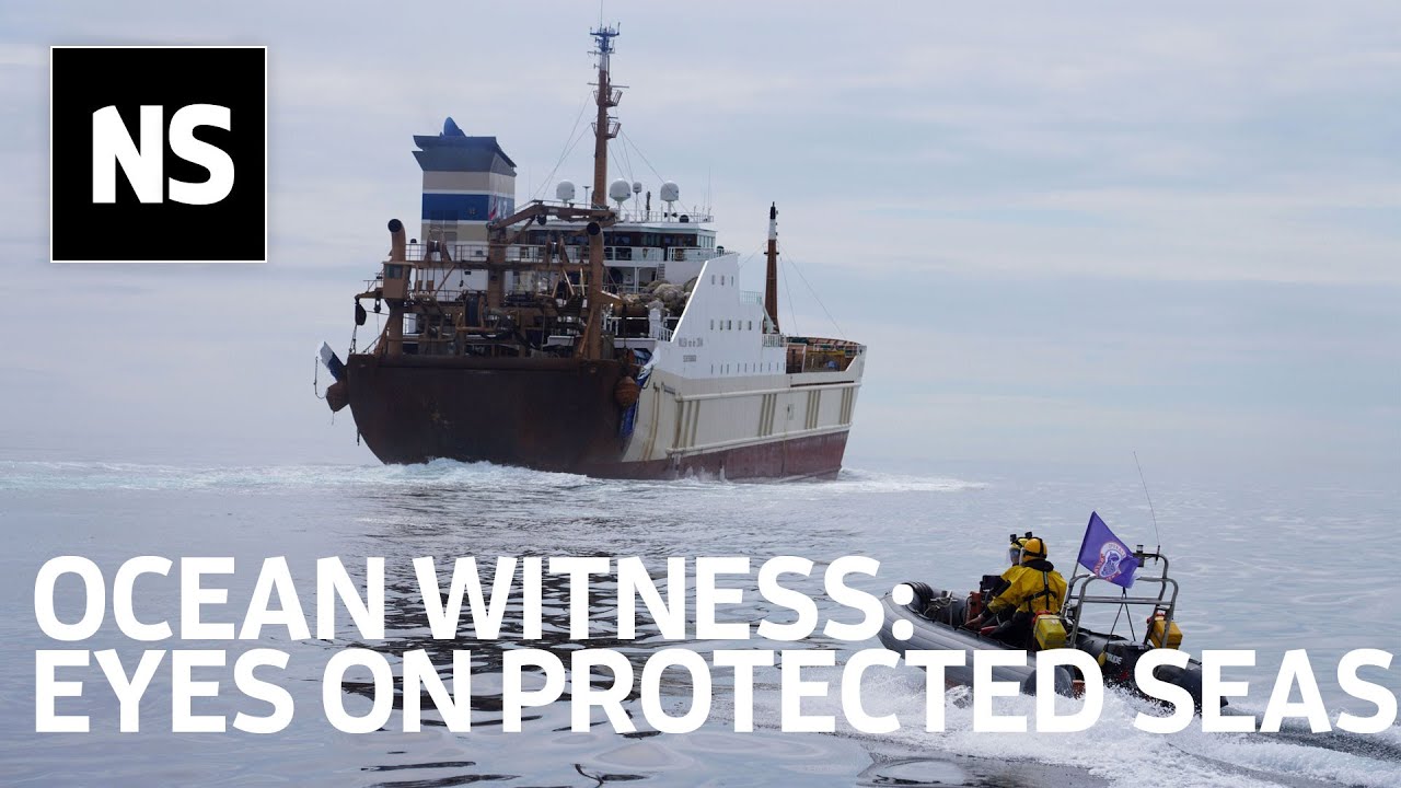 Operation Ocean Witness: On patrol Inside marine protected areas - YouTube