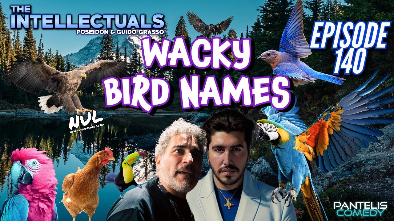 The Intellectuals | Episode 140 | Wacky Bird Names - YouTube