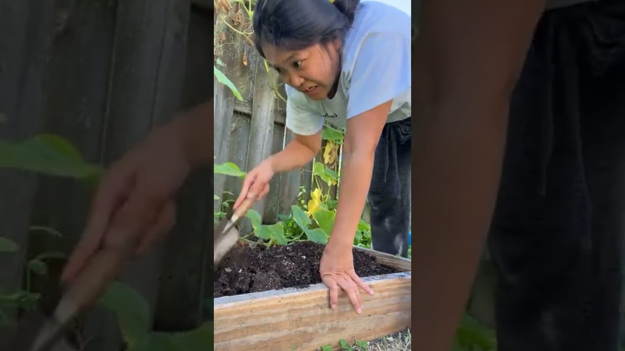Inday Roning sa Florida naghuhukay ng lupa - YouTube