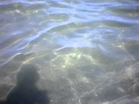 Acqua Limpida alla spiaggia degli Alberoni-Venezia. Agosto 2010 - YouTube