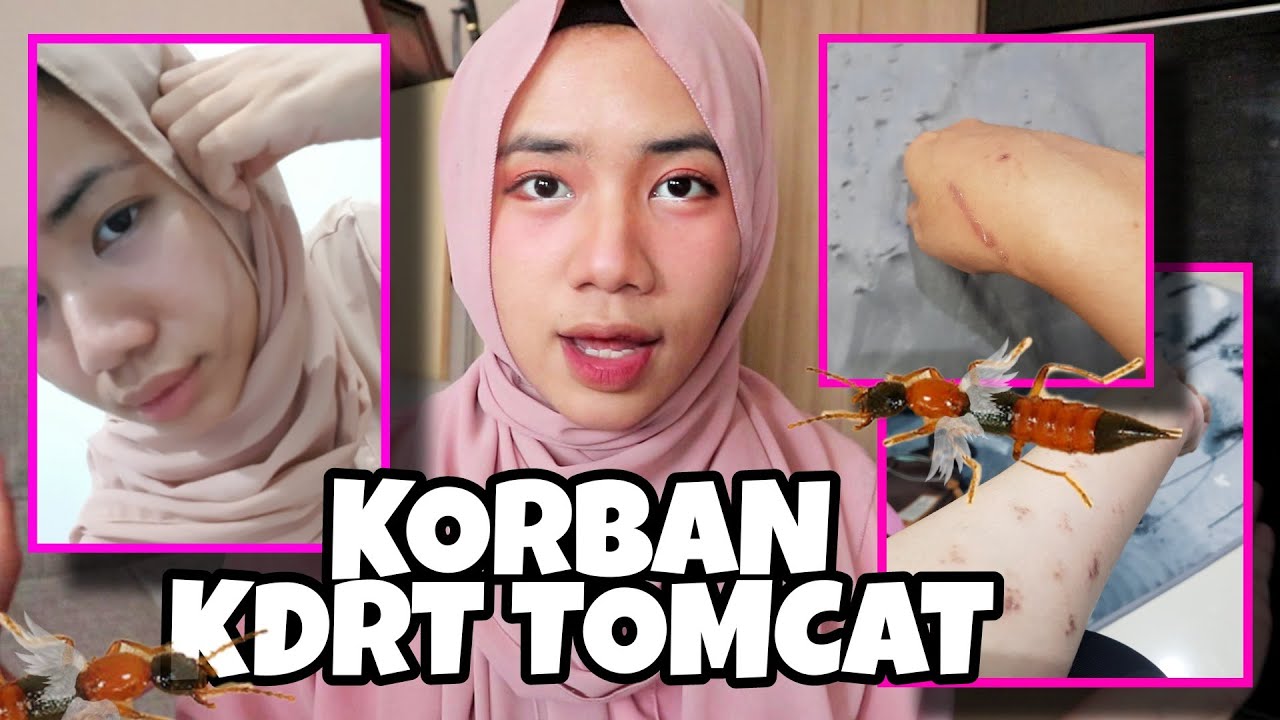 PENGALAMAN DIGIGIT TOMCAT!! - YouTube