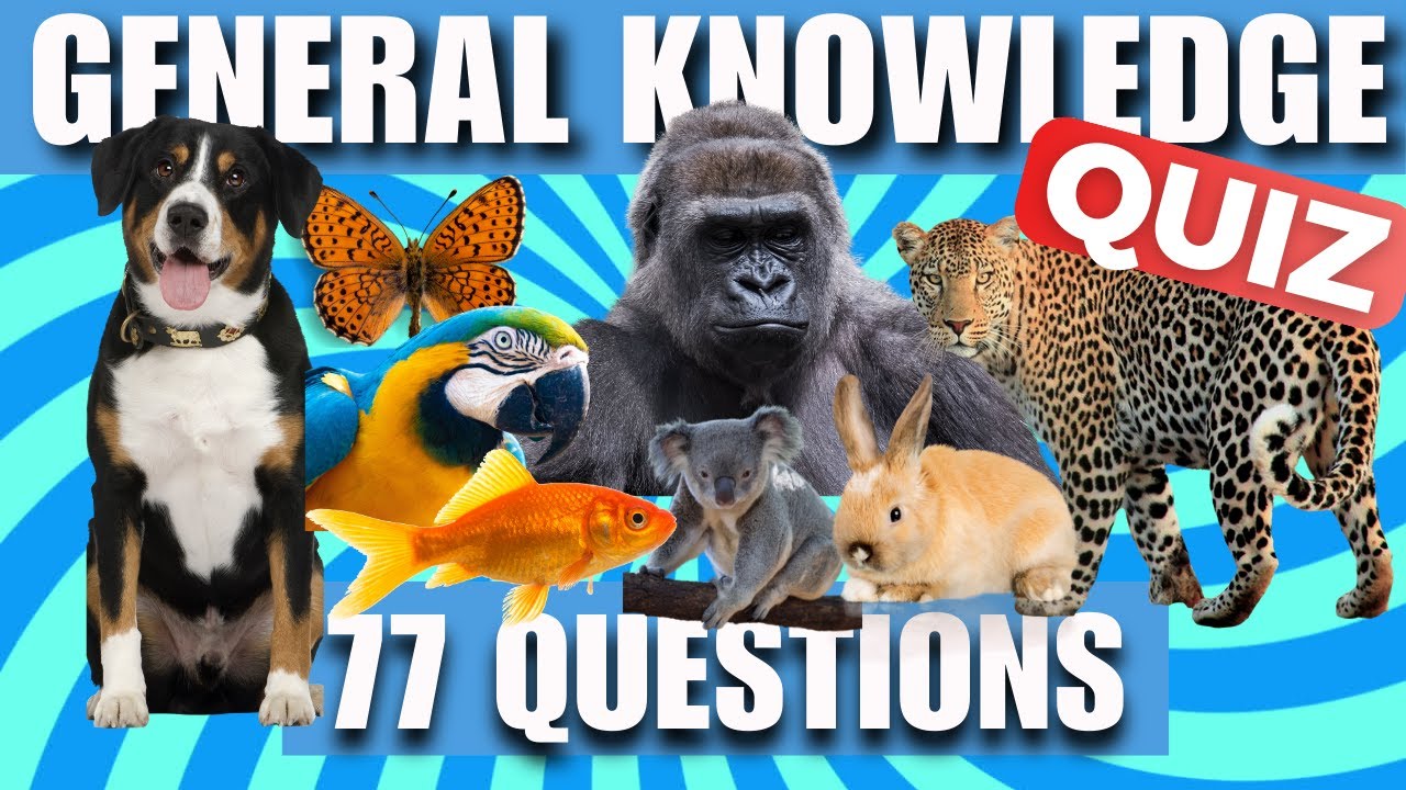How Much Do You Know about Animals? General Knowledge Animal Quiz! 50 ...