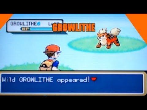 Growlithe - Pokémon Fire Red - YouTube