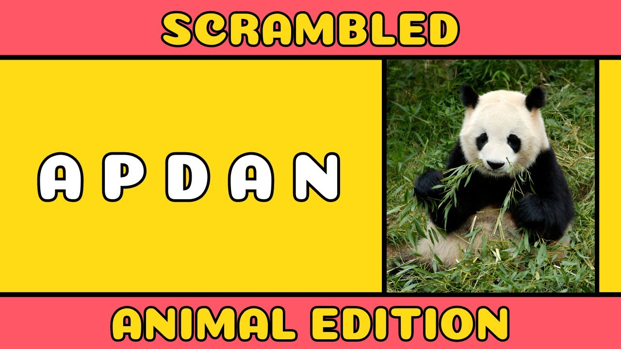 Can You Unscramble These Animal Names? | Scrambled - YouTube