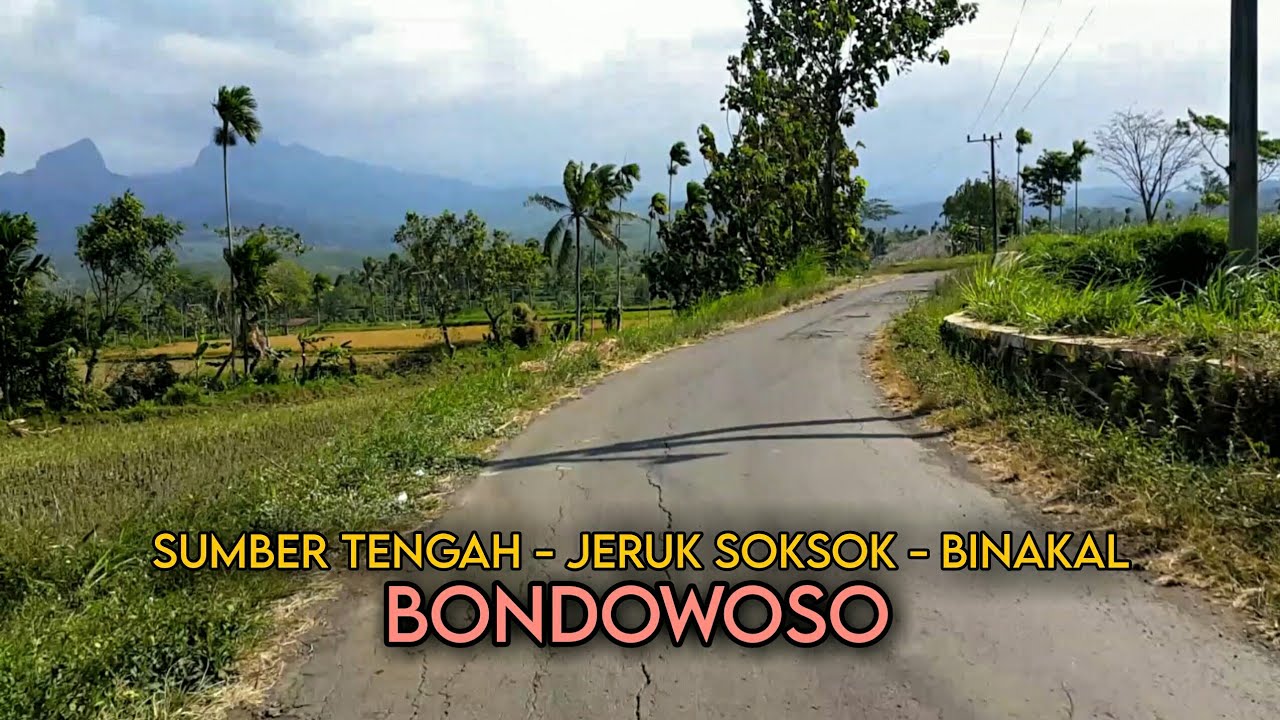 PEMANDANGAN YANG INDAH | JALANAN DESA SUMBER TENGAH - JERUK SOKSOK ...