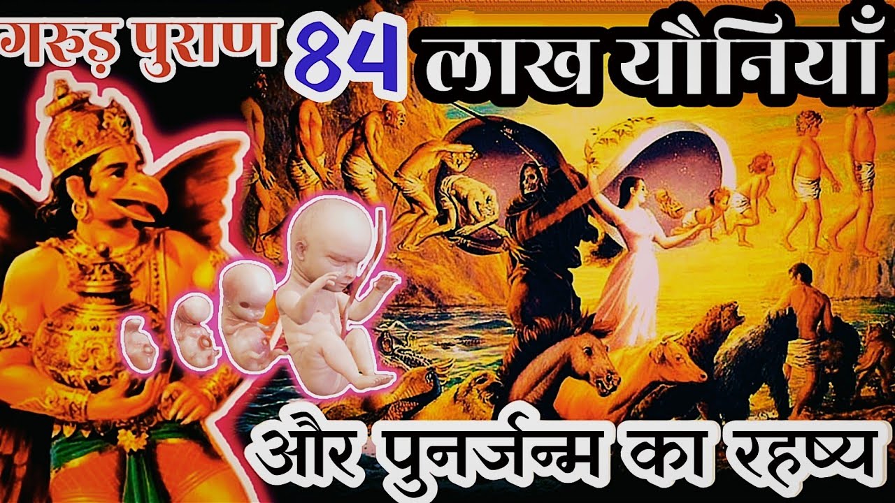 84 लाख योनियों का रहस्य | कैसे मिलता है मनुष्य जन्म | 84 lakh janm yoni ...
