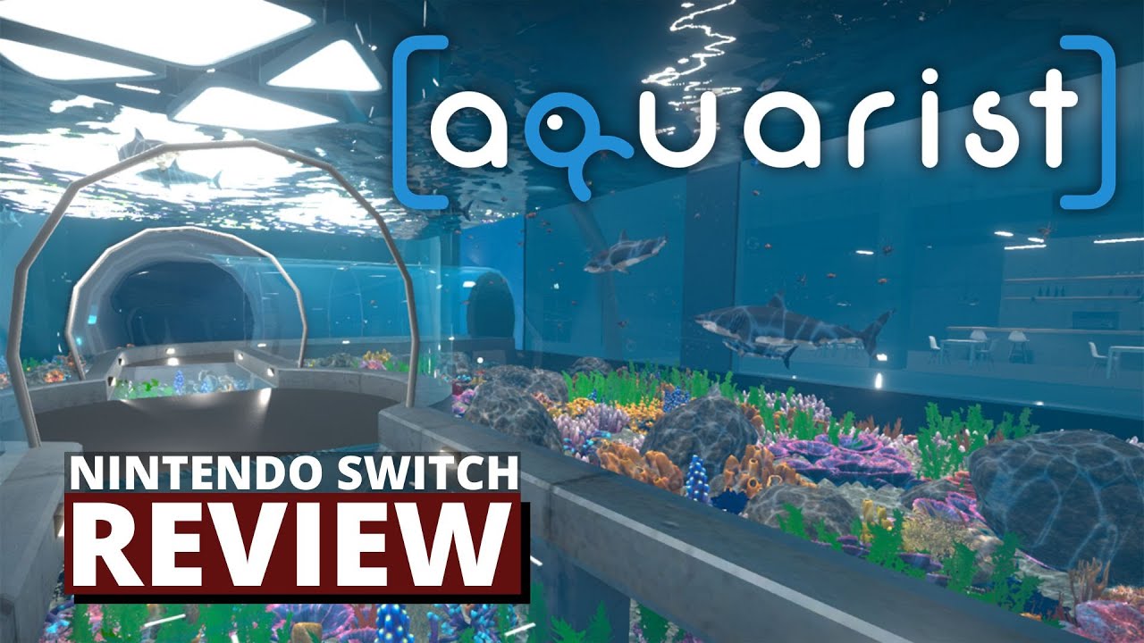 Aquarist Nintendo Switch Review - YouTube