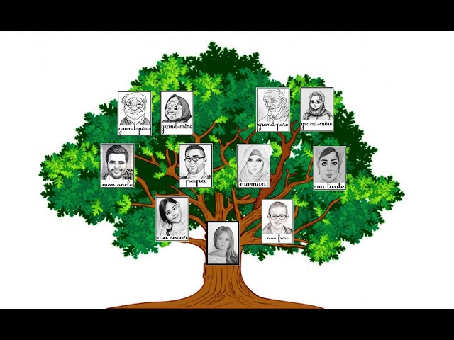 Projet Arbre Généalogique Lycée Organigramme Du Lycée : Bienvenue