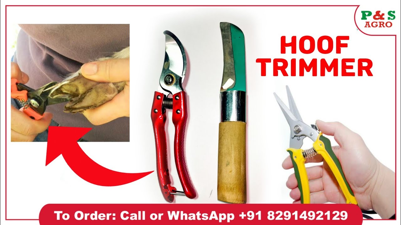 Hoof Trimmer / Khur Cutter for Goats, Sheep & Cattle - YouTube