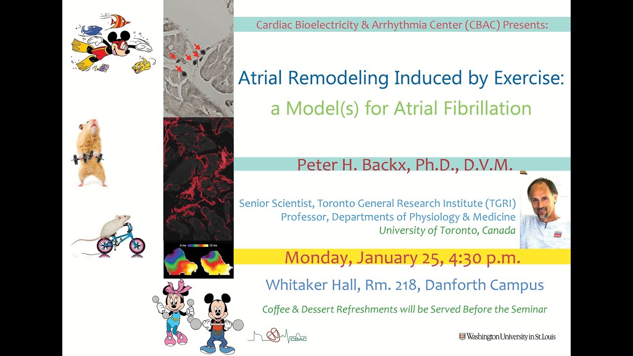 CBAC Seminar - Peter H. Backx, Ph.D., D.V.M., Monday, January 25, 2016 ...