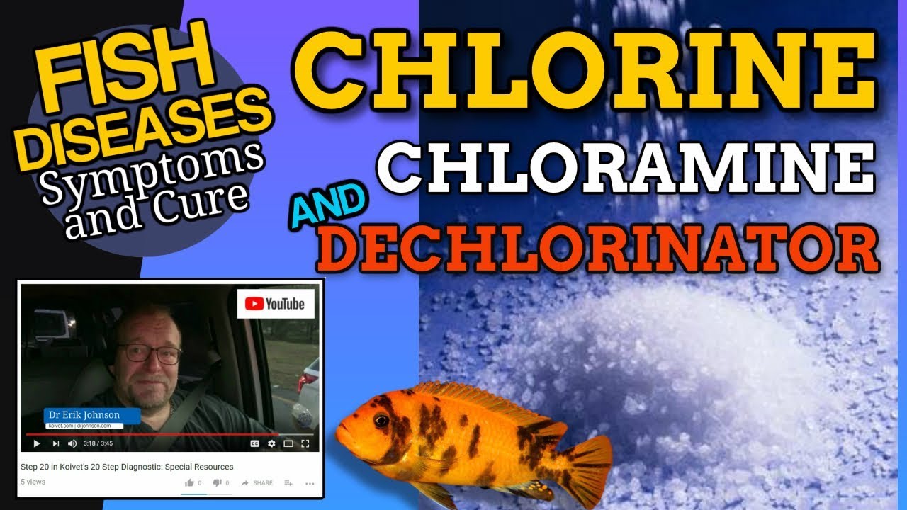 What is Chlorine and How to Dechlorinate - YouTube