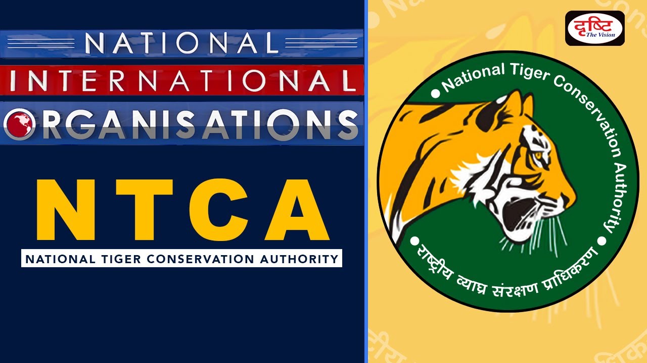 NTCA - National/InternationalOrganisations - YouTube