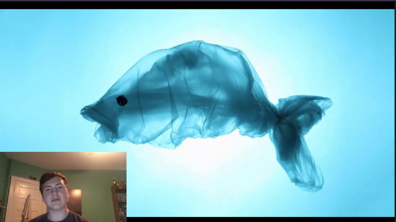 Lake Ontario Microplastics - YouTube